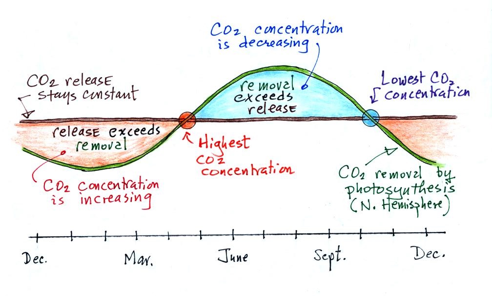 Carbon dioxide in the atmosphere